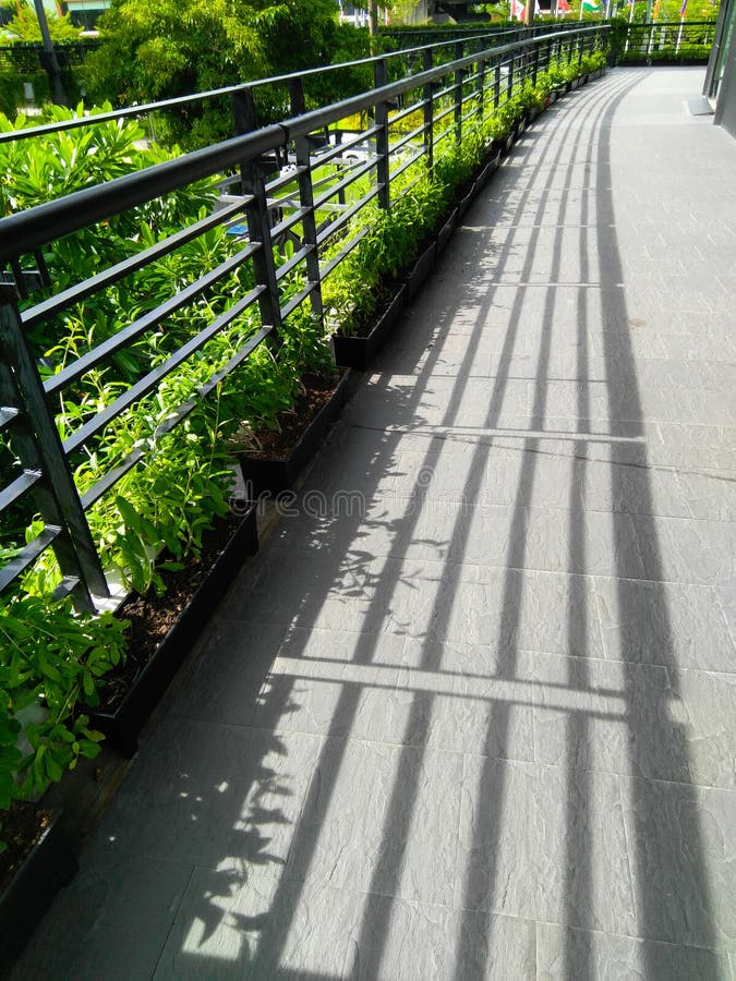 Light and Shadow Balcony and Green Plant Walk Path Stock Photo - Image ...