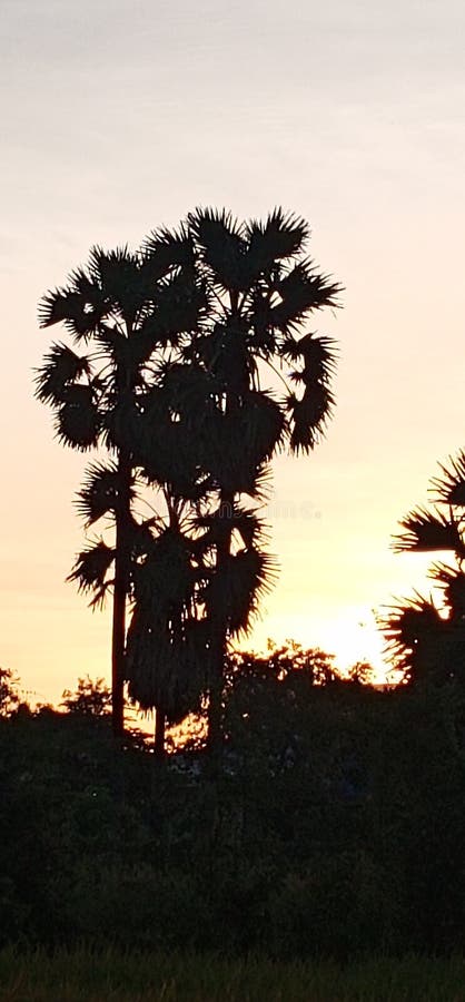 Light and Shadow and Bright Morning Stock Image - Image of nature ...