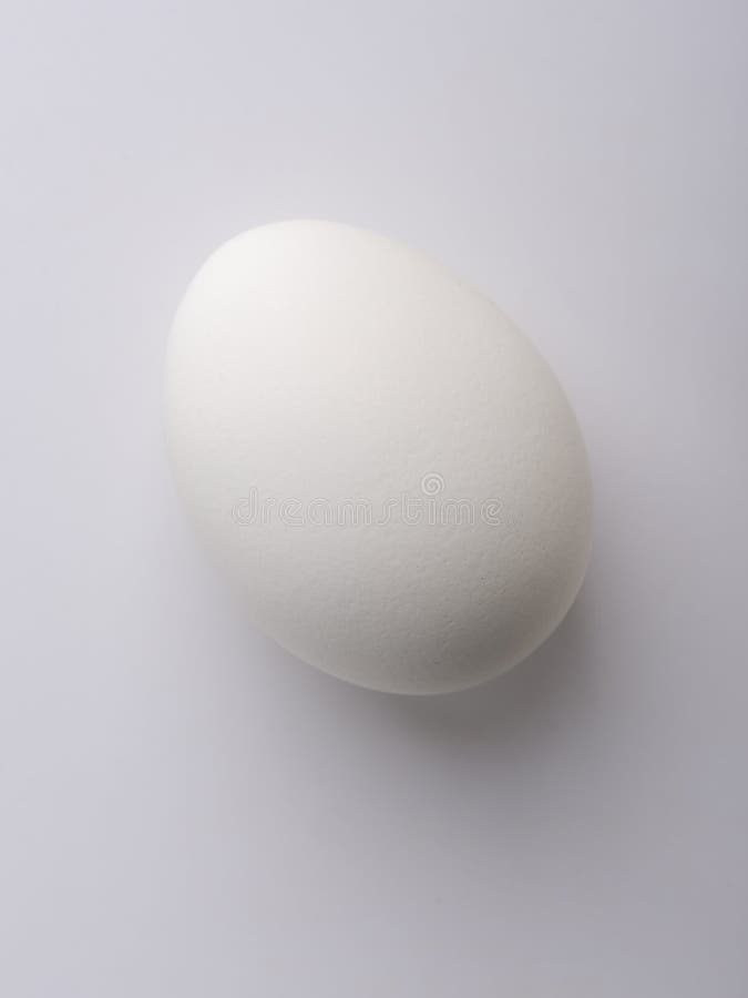 Light and Shadow on a Chicken Egg. Light on the Sharp End of the Egg ...