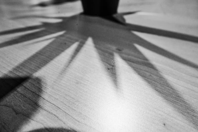 Light and Shadow on Objects Stock Photo - Image of composition ...