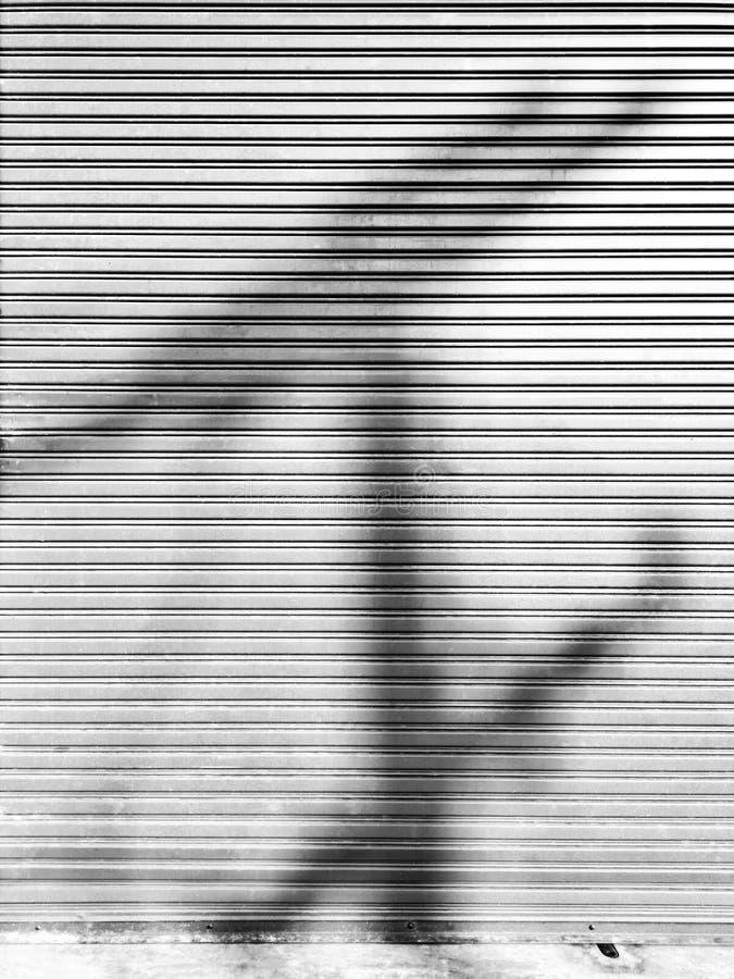 Light and Shadow of the Electricity Poles. Stock Photo - Image of ...