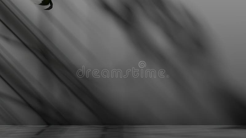 Light and Shadow that Enter the Room, Window Frame and Shadow of Trees ...