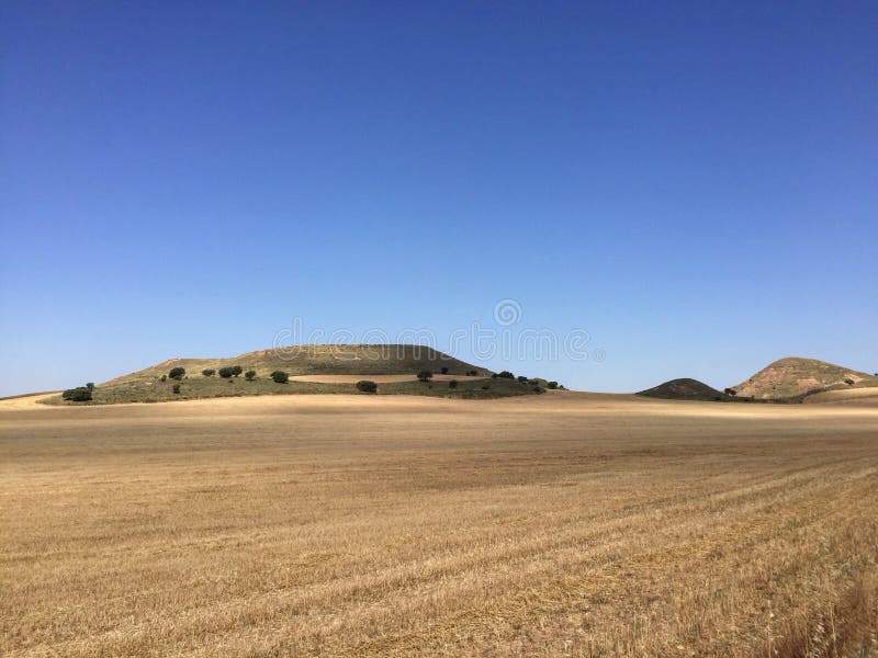 Light and Shadow in the Field Stock Photo - Image of hiking, bluesky ...