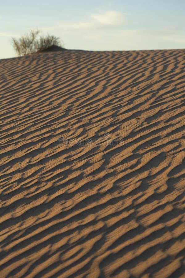 Sharply Contrasting Patterns of Sand Waves with Light and Shadow Across ...