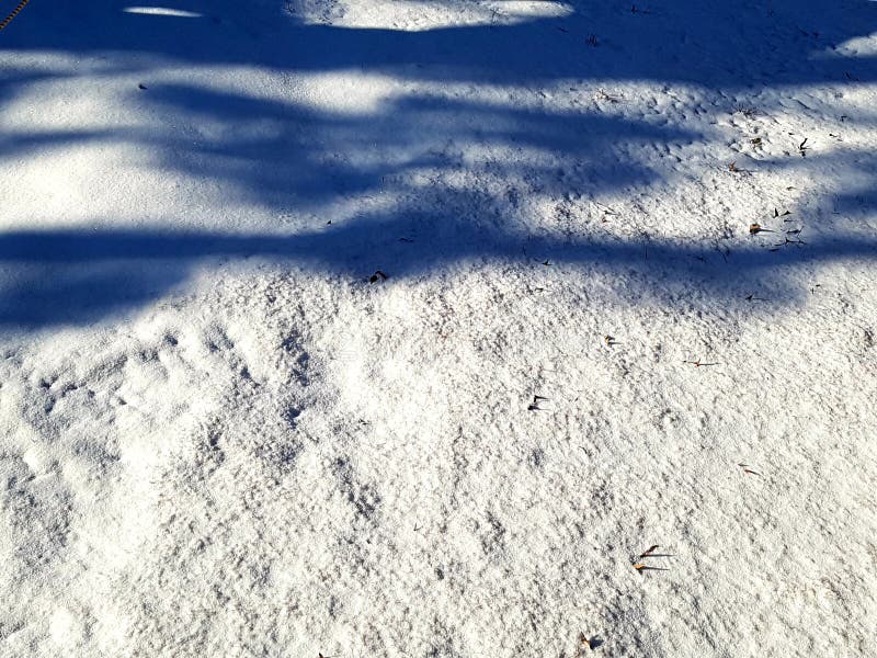 Freshly fallen snow stock photo. Image of fresh, freshly - 192505496