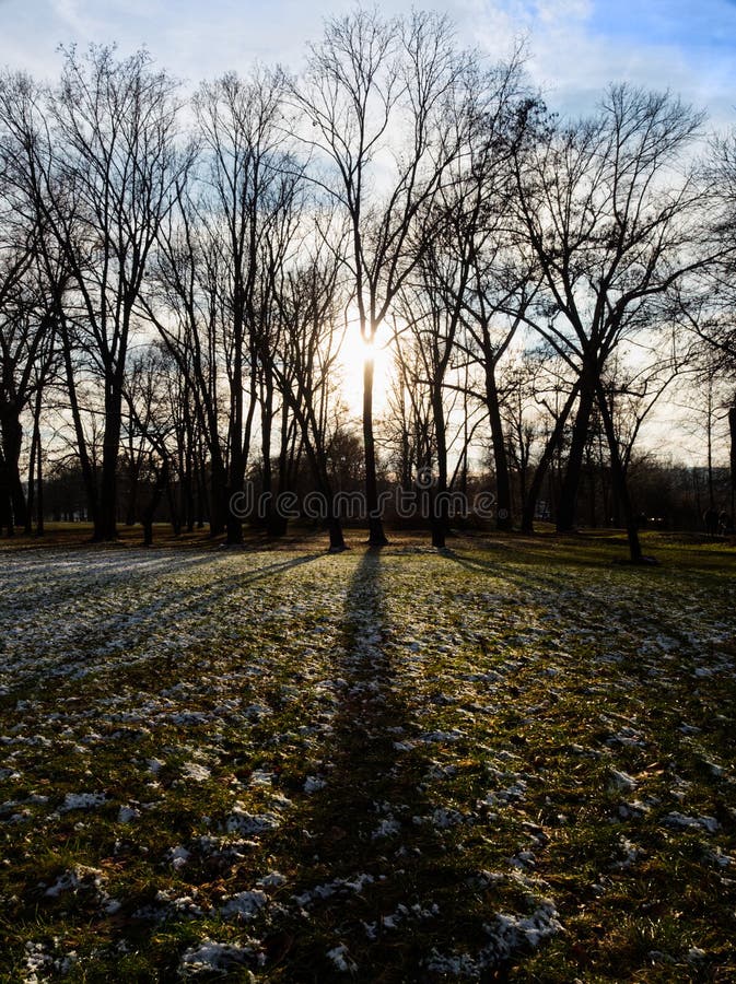 Light and Shadow in Jena Paradise at Winter Stock Photo - Image of ...