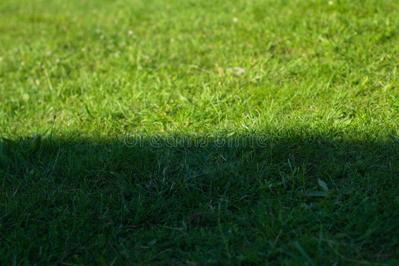 Light and Shadow on the Lawn.Mown Lawn Grass Stock Photo - Image of ...