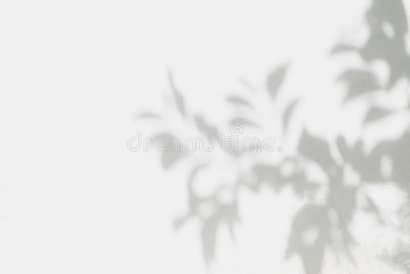 Light Shadow of Leaf and Tree Branch Background. Natural Leaves Shadows ... Light Shadow of Leaf and Tree Branch Background. Natural Leaves Shadows ...
