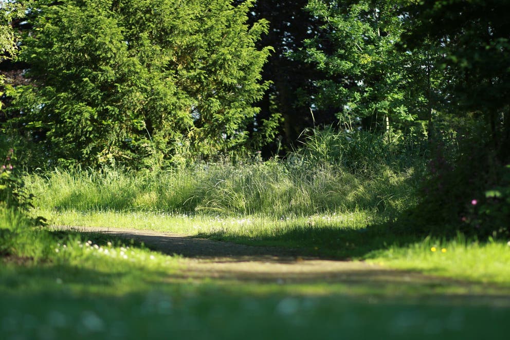 Light and shadow stock image. Image of view, parc, shadow - 161198943