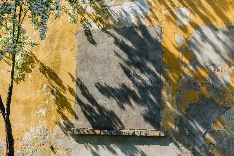 Spotted Wall Texture Background. Magenta Texture. Abstract Texture ...