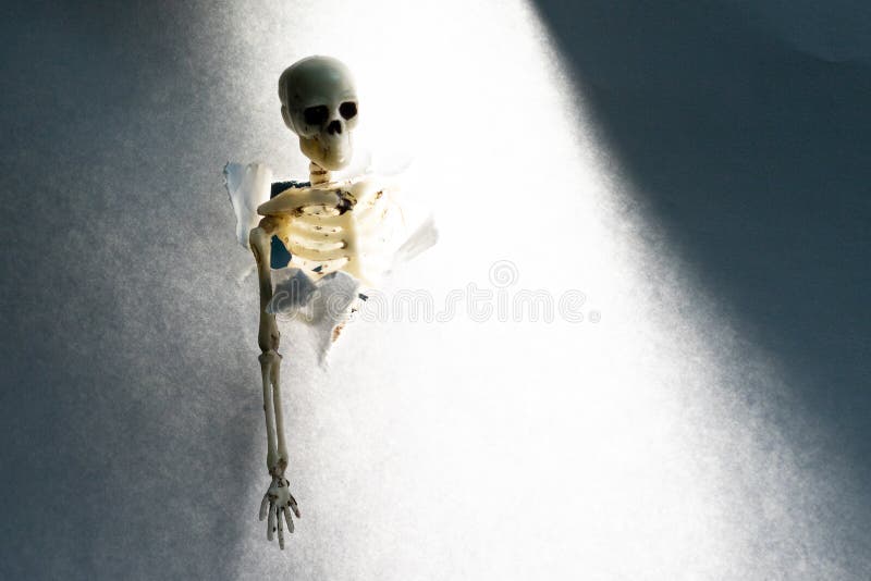 Light and Shadow on the Paper Texture of the Backlit Back and Skeleton ...