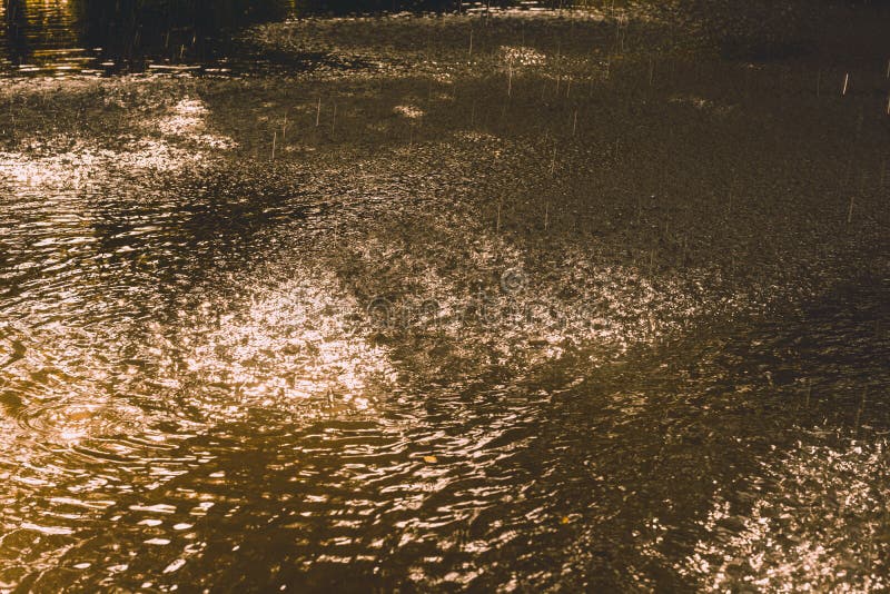 Raindrops Falling on Water Surface Stock Photo - Image of aqua ... Raindrops Falling on Water Surface Stock Photo - Image of aqua ...