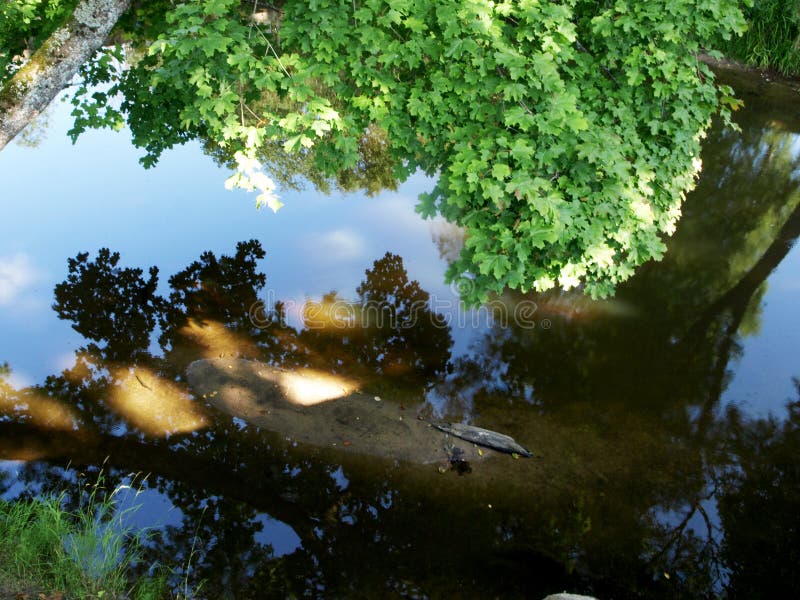Light and Shadow Reflections in River Water Stock Image - Image of ...