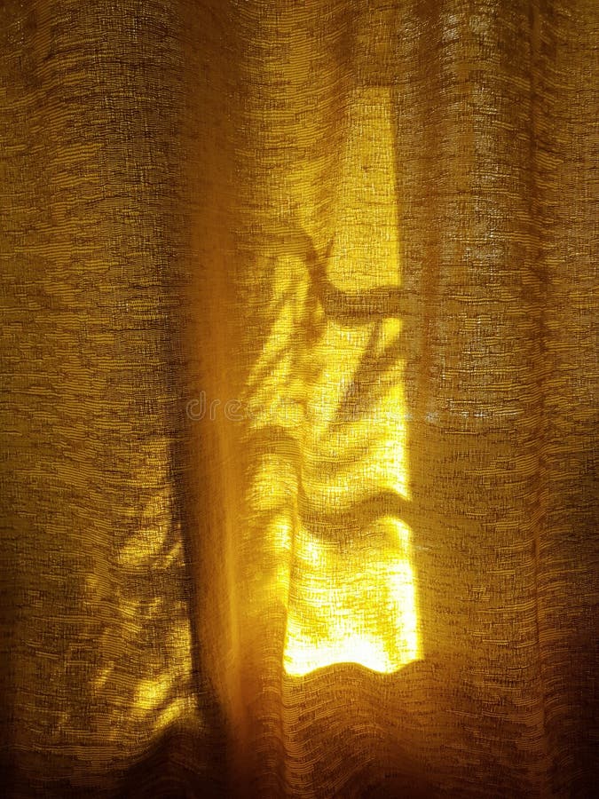 Light and Shadow on Coconut Leaves Tree Stock Image - Image of ...