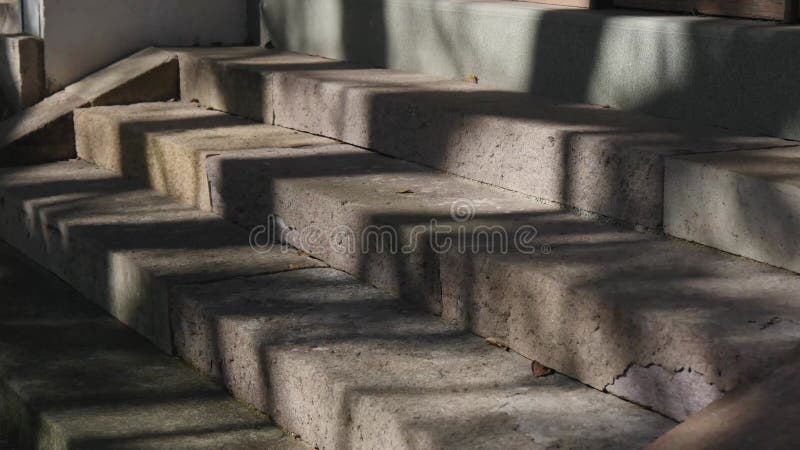 Light and Shadow, Time Passes, and the Shadows of the Trees on the Wall ...