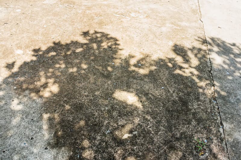 Light and Shadow of Tree on Cement Floor Stock Image - Image of tree ...