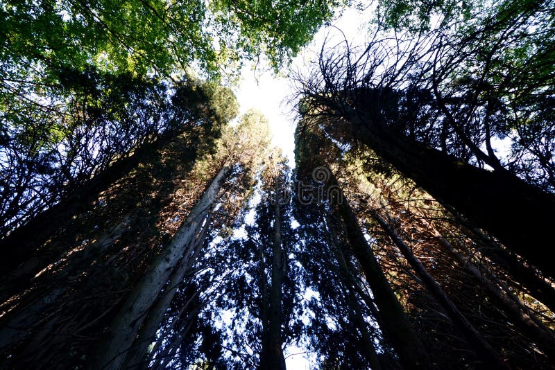 Light and shadow stock image. Image of landscape, green - 76494319