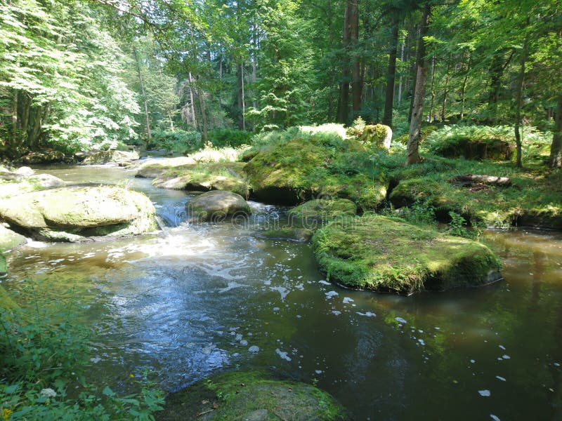Light and Shadow on Wild Water Forest River Stock Photo - Image of ...