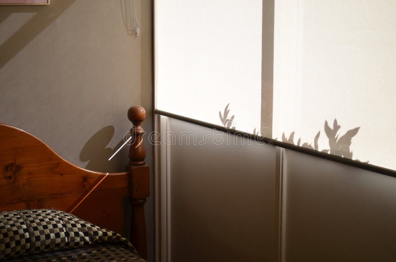 Light and shadows stock image. Image of shadows, australia - 196335343