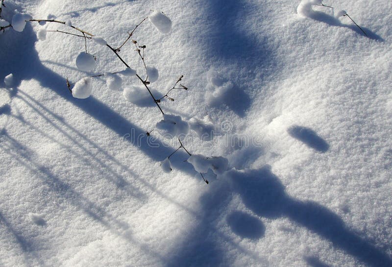 Light and Shadows on the Snow Stock Image - Image of natural, frost ...