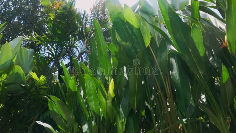 Light in Shape of Caustic Curves Making a Beautiful Pattern of Sundogs ...