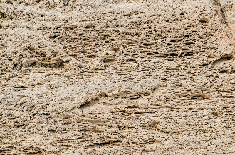 Natural Shell Rock for Background. Stock Photo - Image of stone ...