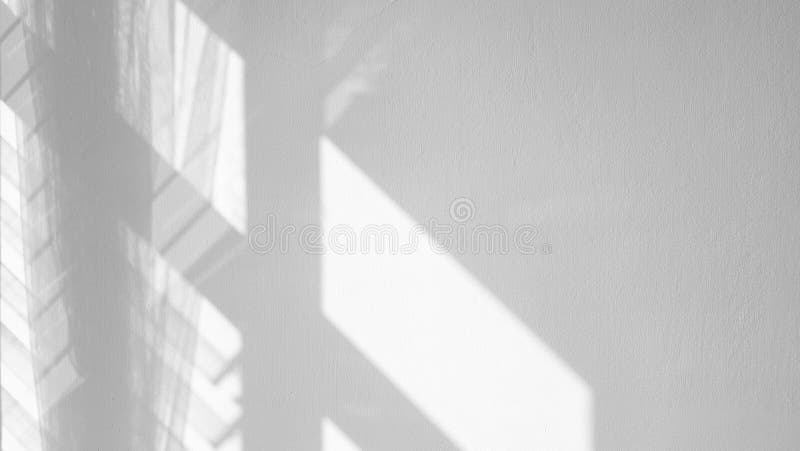 Light Shining through Window and Curtain To the White Concrete Wall ...