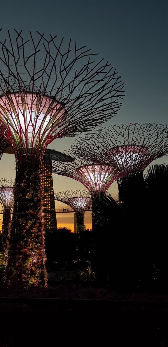 Light Show at Garden by the Bay Stock Image - Image of christmas ...