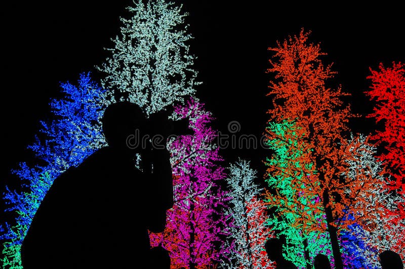 Light silhouette stock image. Image of tree, outline - 15801427