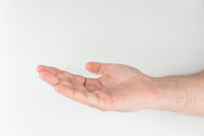 A Light-skinned Arm with Rolled-up Sleeve, Hand Raised and Curled ...