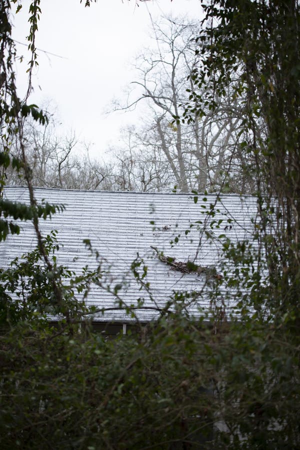 Light Sleet on a Roof stock photo. Image of holiday - 231414088