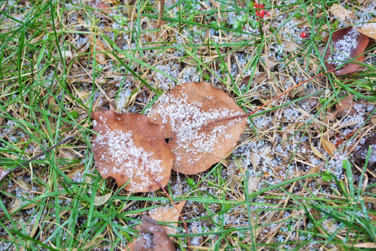 Light snow on the ground stock image. Image of crystal - 105789089