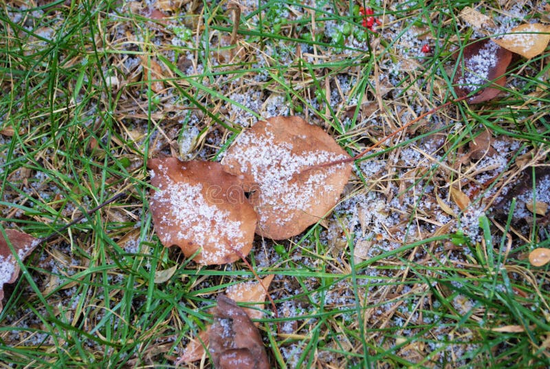 Light snow on the ground stock photo. Image of december - 105789150
