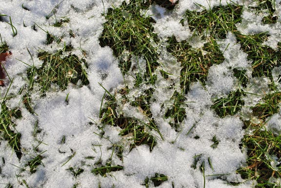 Light snow on the ground stock photo. Image of chilly - 105788692