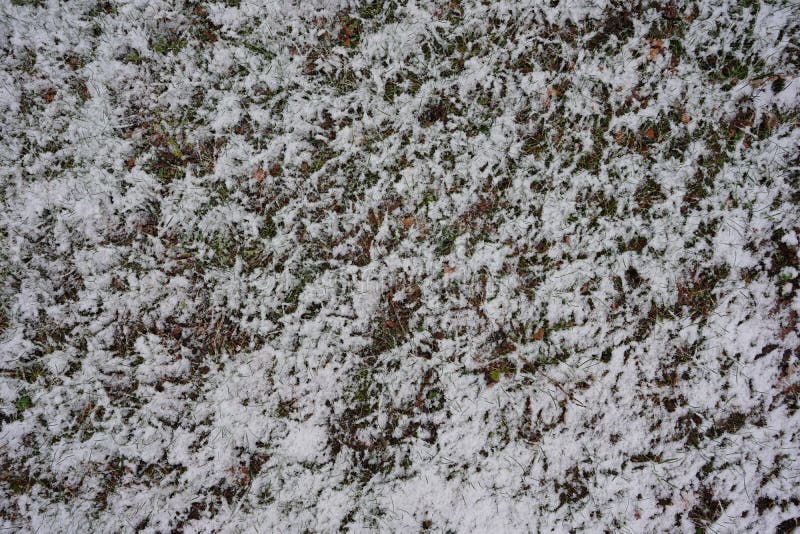 Light Snow on the Ground Over Grass Stock Photo - Image of pattern ...