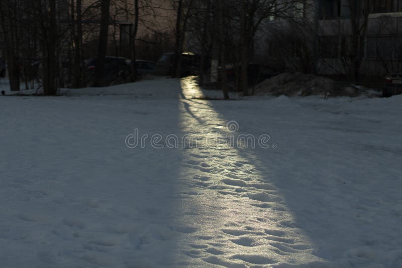 Light in the Snow. the Setting Sun Shines in Winter on the Snow-covered ...
