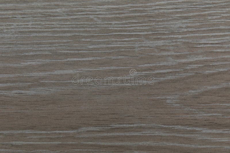 Light Ash Wood Texture Close-up with Natural Pattern for Background ...