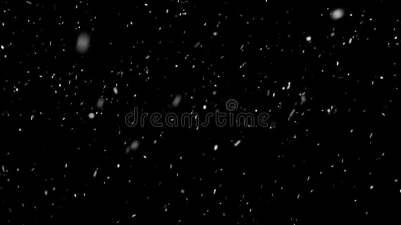 Light Soft Snow Falling Isolated on Black 4k Seamless Loop. Place it ...