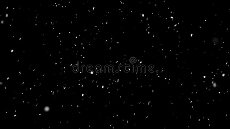 Light Soft Snow Falling Isolated on Black 4k Seamless Loop. Place it ...