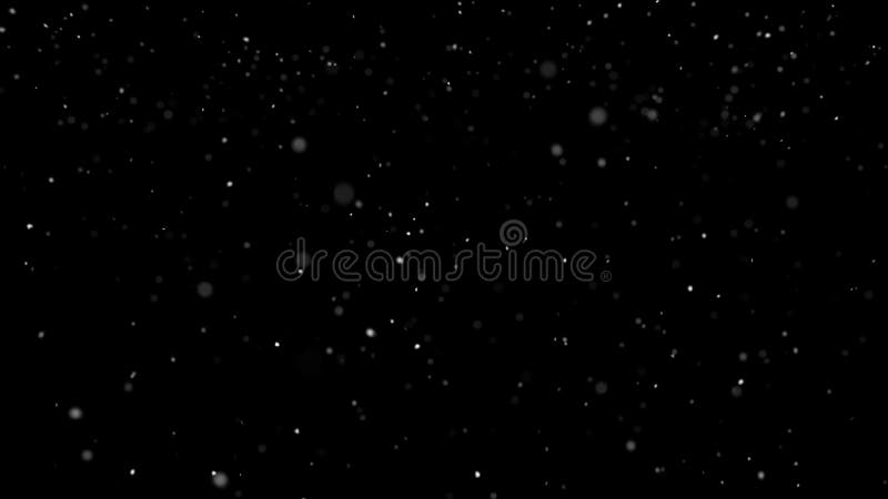 Light Soft Snow Falling Isolated on Black 4k Seamless Loop. Place it ...
