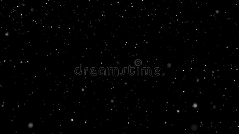 Light Soft Snow Falling Isolated on Black 4k Seamless Loop. Place it ...