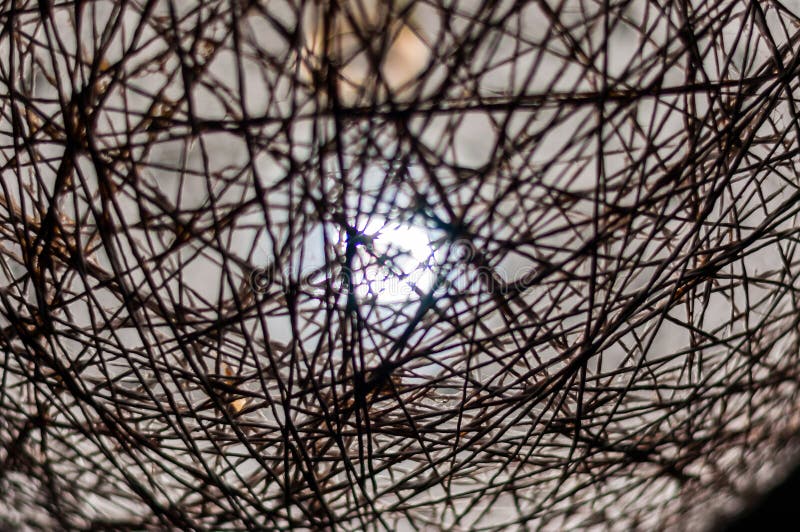 Light Source Illuminating through a White Textile Wicker Ball Frame ...