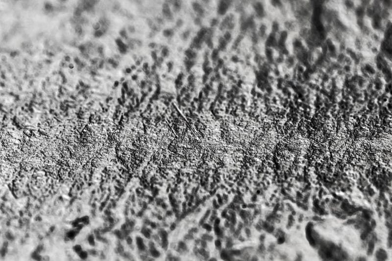 Light Stone Texture As Abstract Background, Design Material and ...