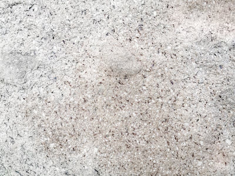 Light stone texture stock photo. Image of architecture - 243611720