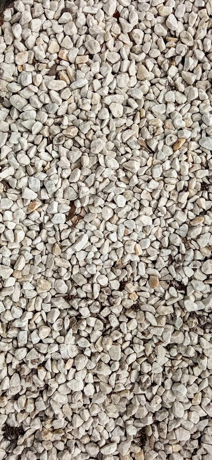 Light Stones are Scattered on the Ground Stock Image - Image of stones ...