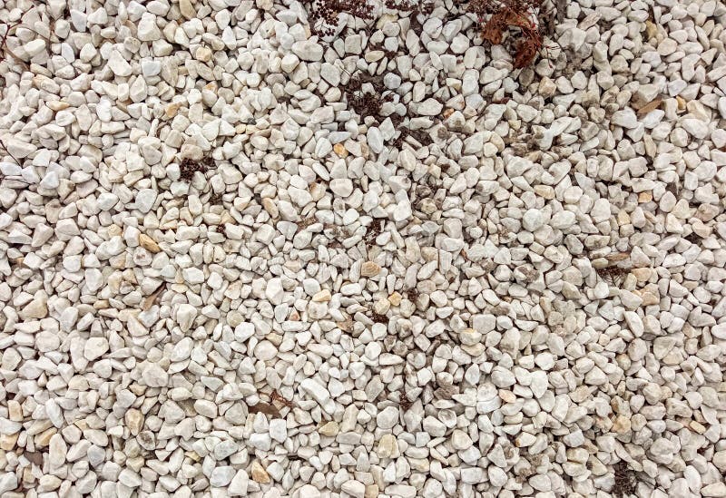 Light Stones are Scattered on the Ground Stock Photo - Image of ground ...