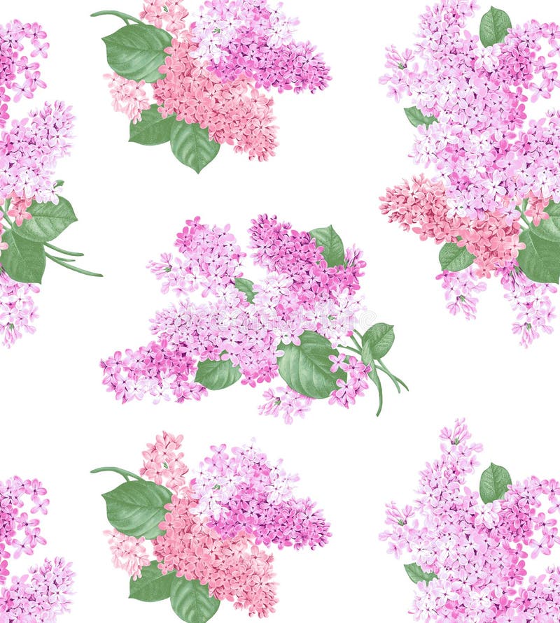 Floral Seamless Pattern with Pink Lilac Stock Illustration ...