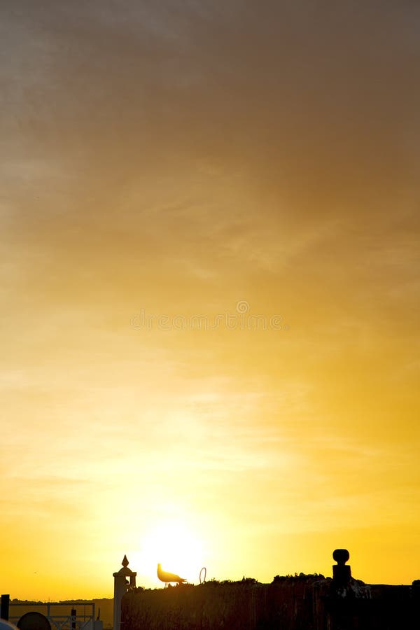 Light the Sunrise in Colored and Abstract Background Stock Image ...