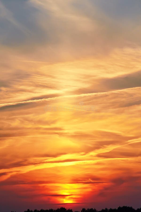 Light of the sunset stock image. Image of gleam, growth - 49452997