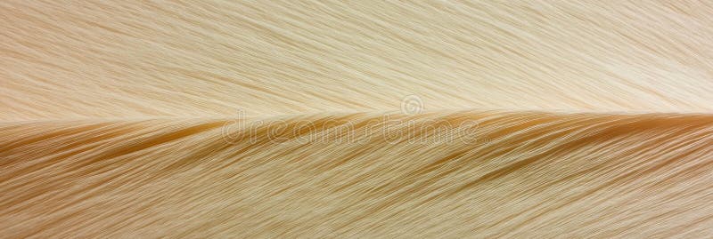 Light Tan Paper Texture Featuring Horizontal Interwoven Fibers with a ...